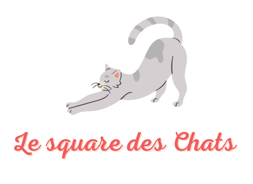 Comportementaliste chat : Tout ce que vous devez savoir sur ce métier ...