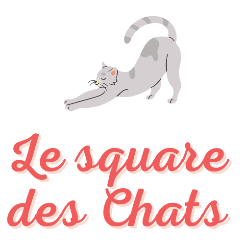 Comportementaliste chat : Tout ce que vous devez savoir sur ce métier ...